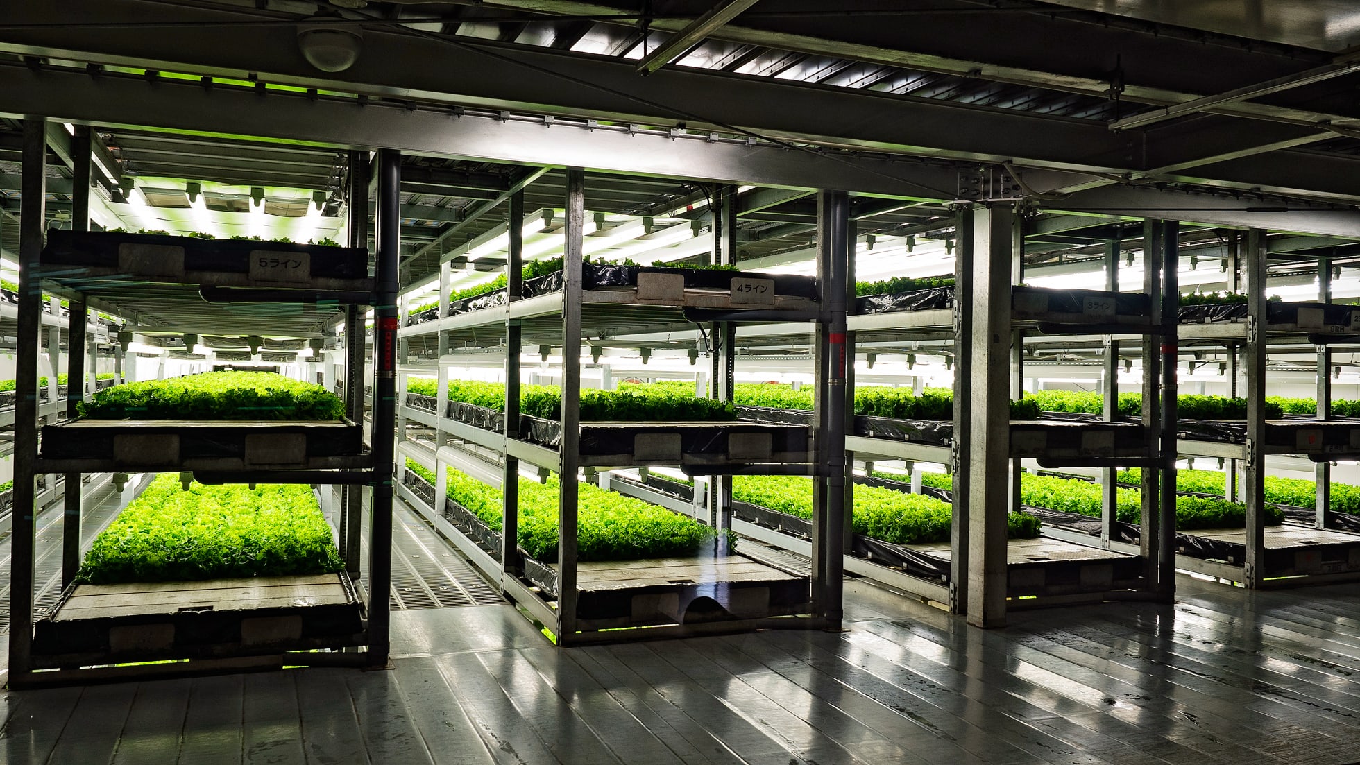 Innsikt | Aftenposten