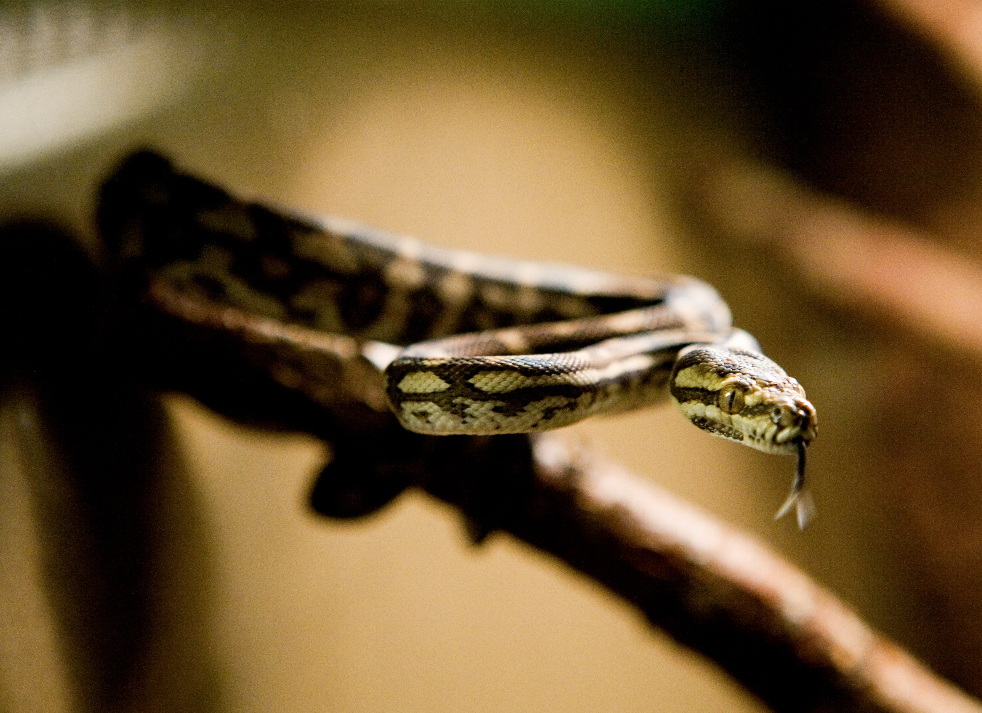 Her er ni rare og annerledes ting du kan se og gjøre i byen.