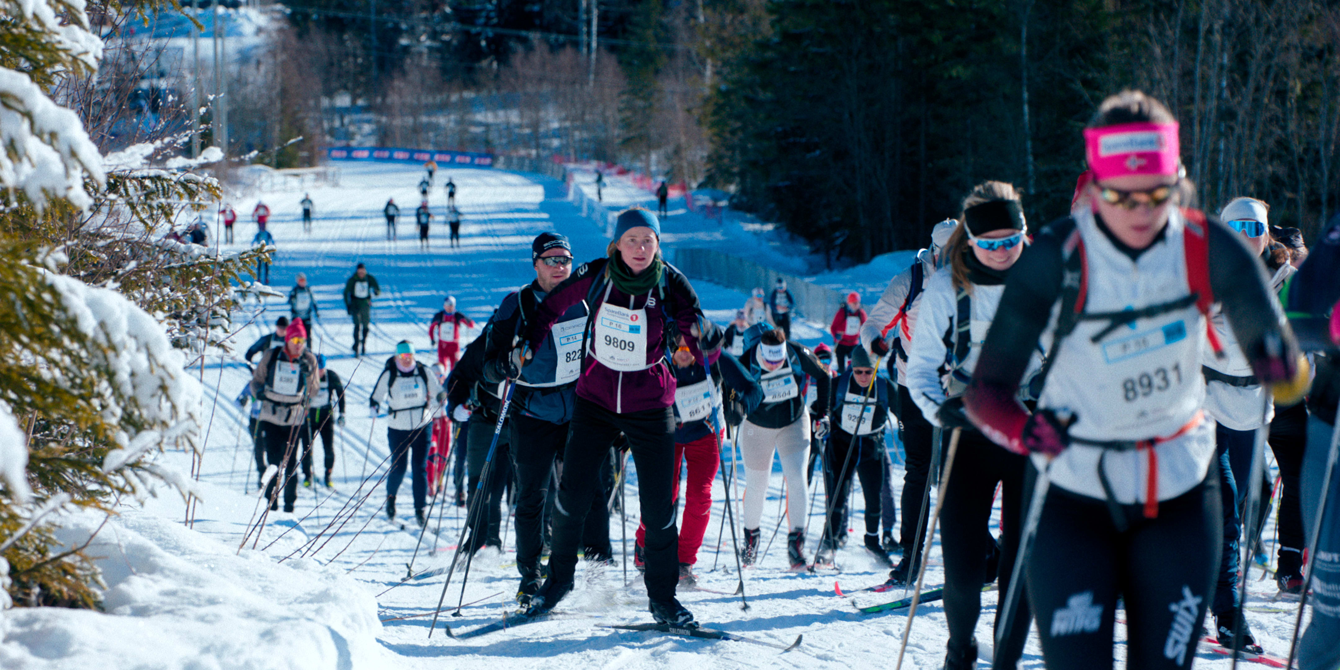 Filmanmeldelse av «På villspor» på Netflix med Ada Eide og Trond Fausa Aurvåg: En mislykket komedie