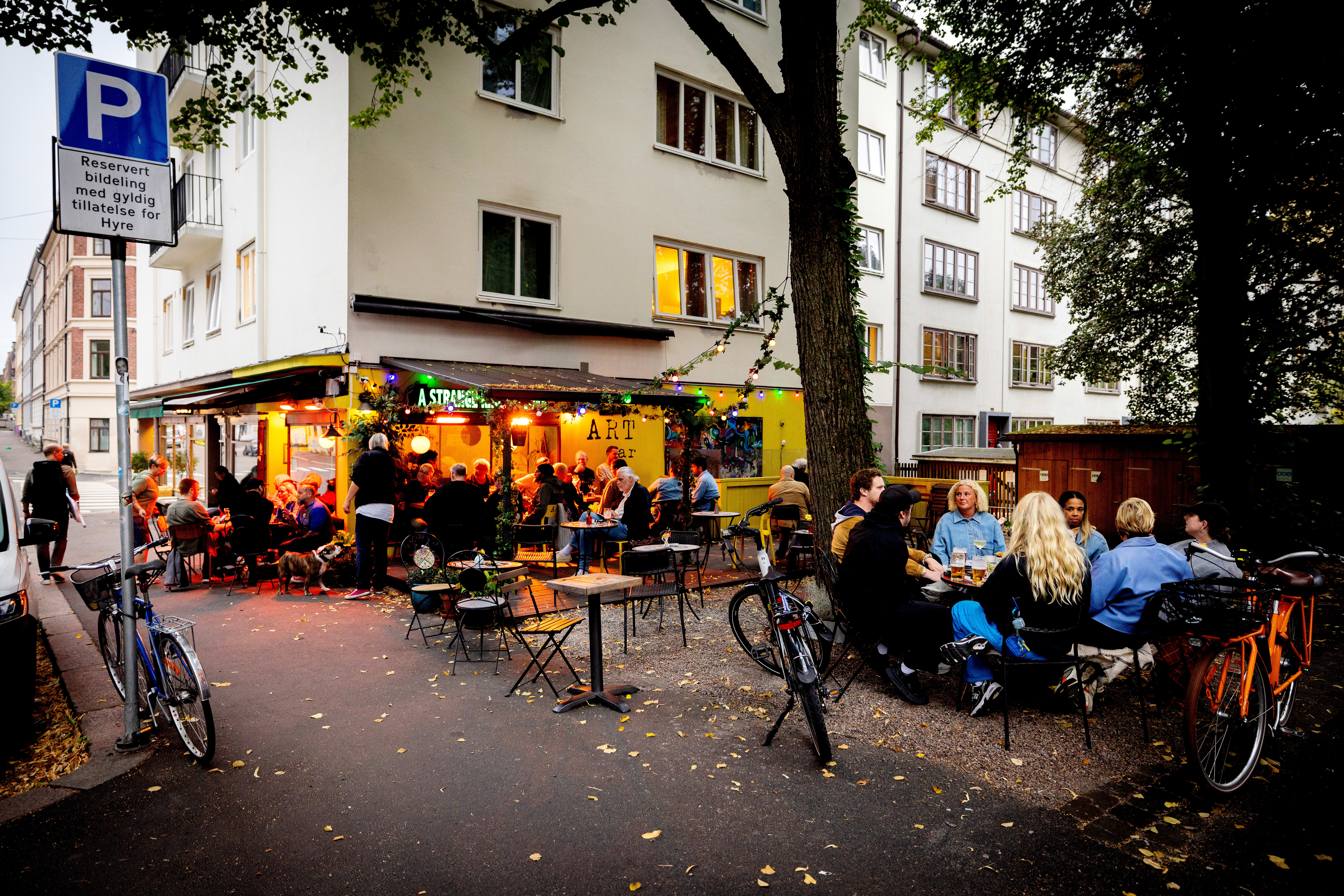 Osloguiden Vink | Aftenposten