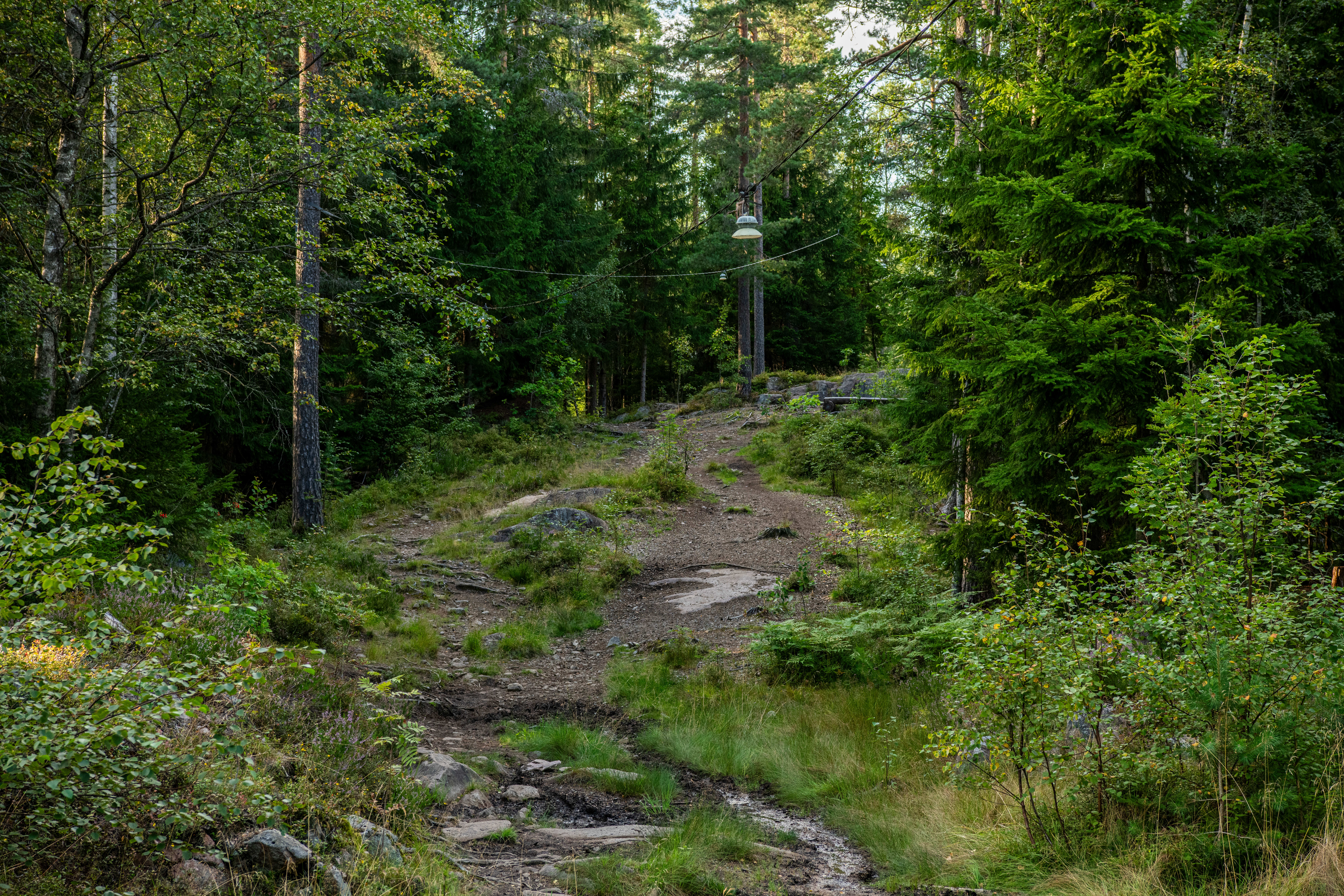 Lokale Oslo-nyheter nå - Få siste nytt fra Oslo i dag | Aftenposten