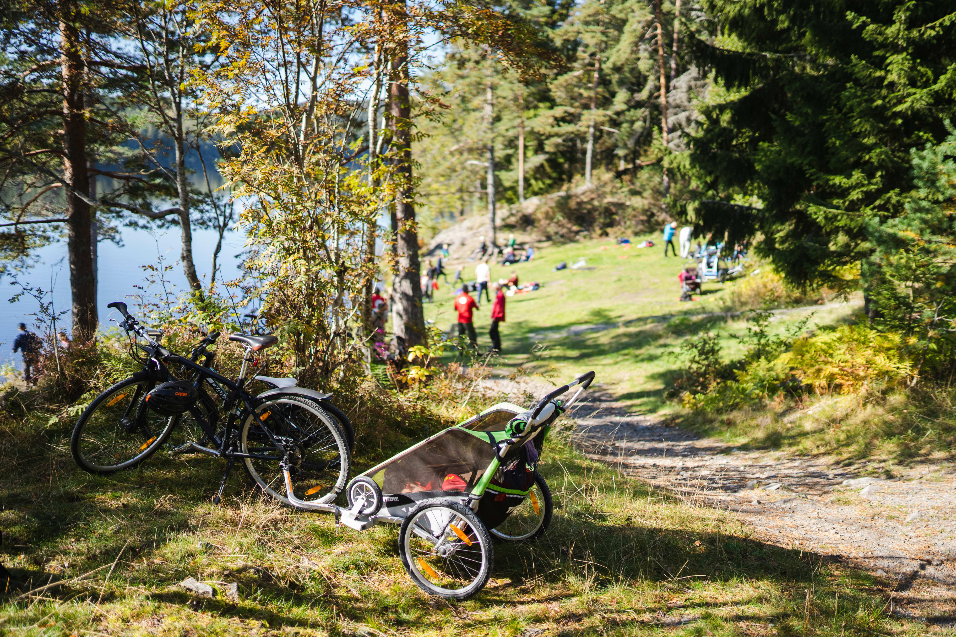 Barnevennlige turer i Marka i Oslo