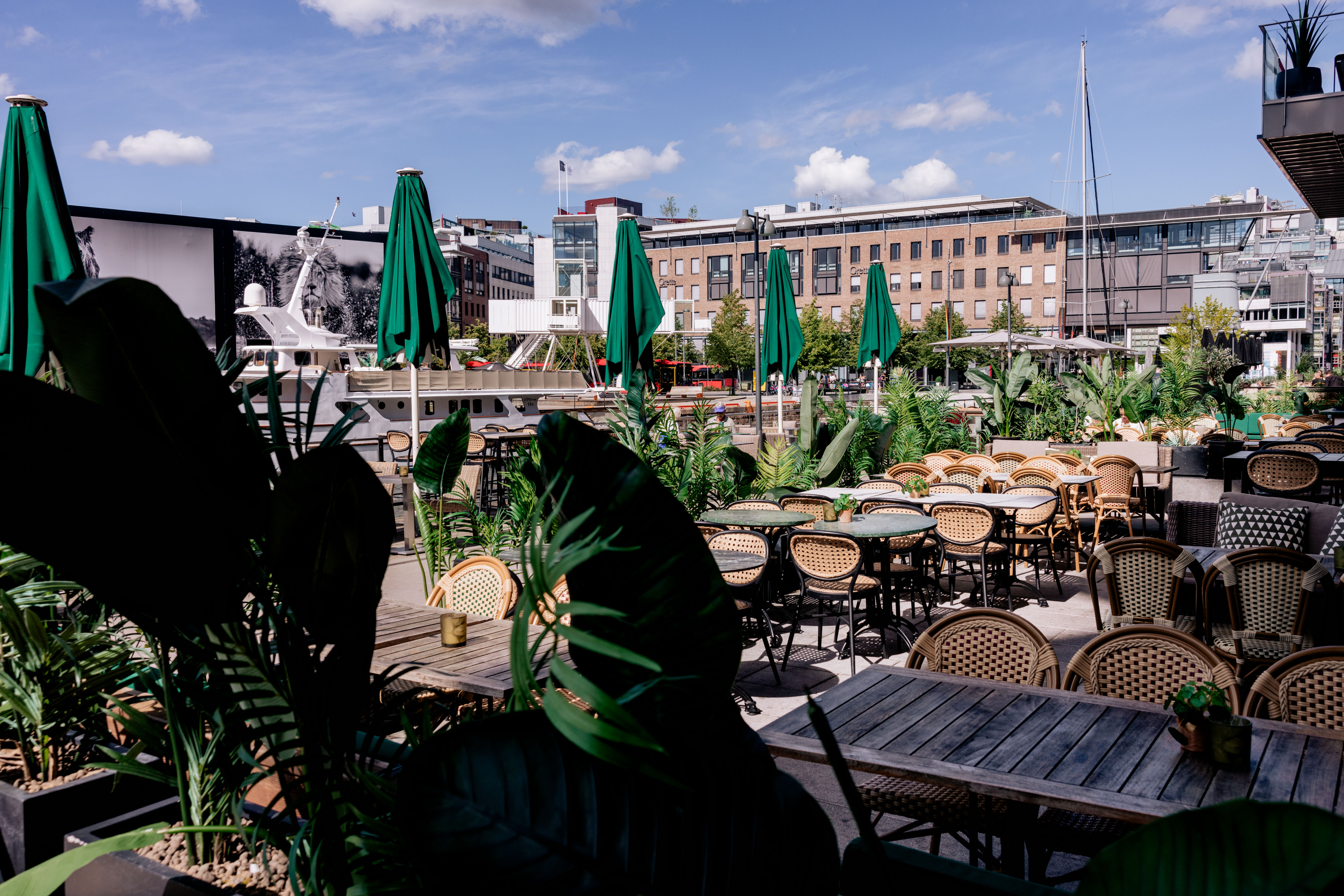 Amazonia by BAR på Tjuvholmen ga oss pommes frites til dessert