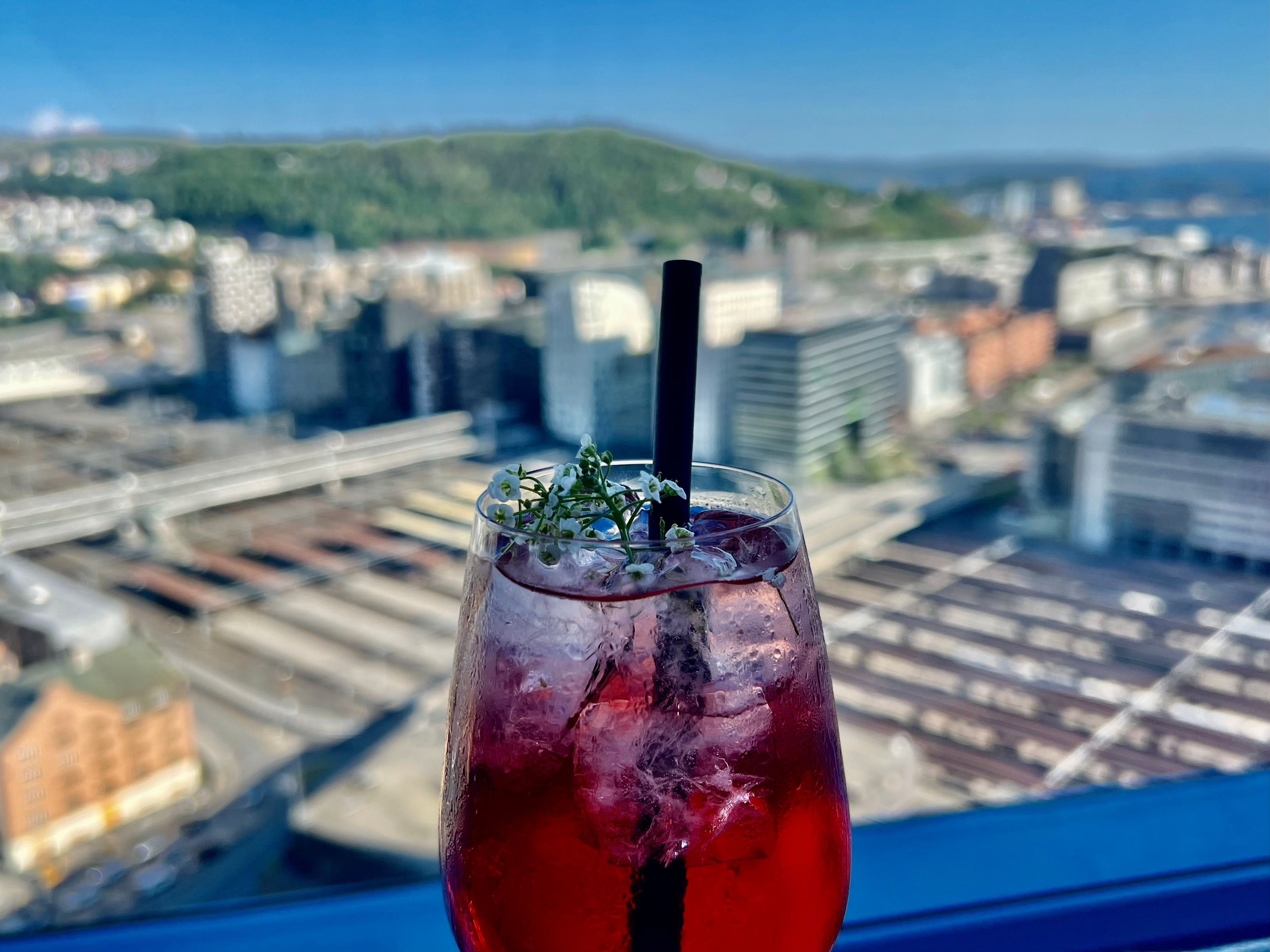 Anmeldelse av The Top terrace på Radisson Blue Plaza