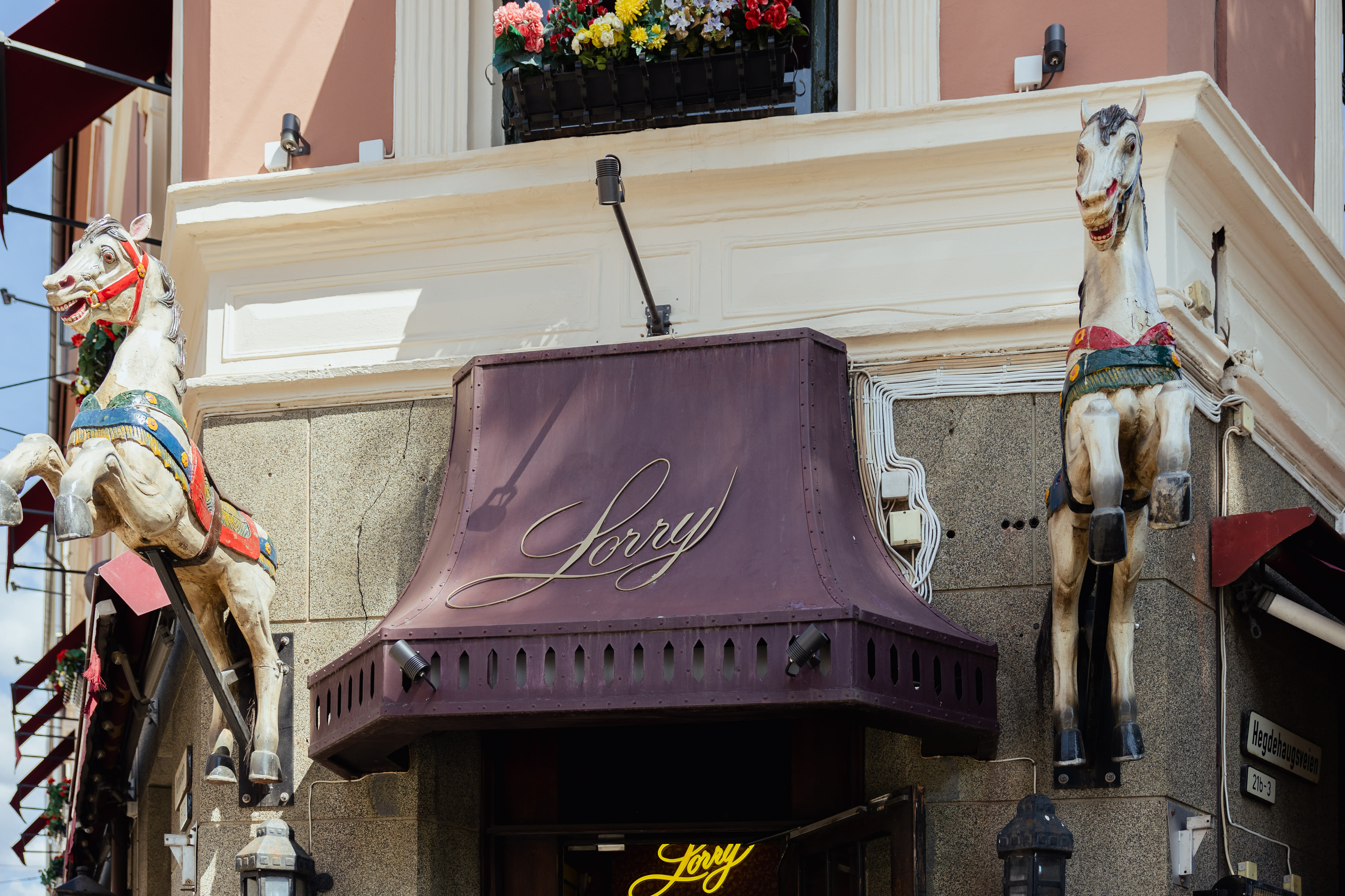 Brune barer i Oslo: Her er 3o steder du må vite om.