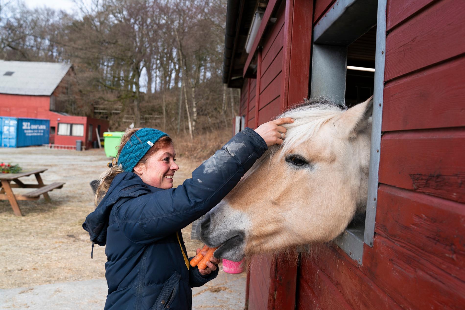 Rogaland Rideklubb er i fare Rogaland Rideklubb er i fare